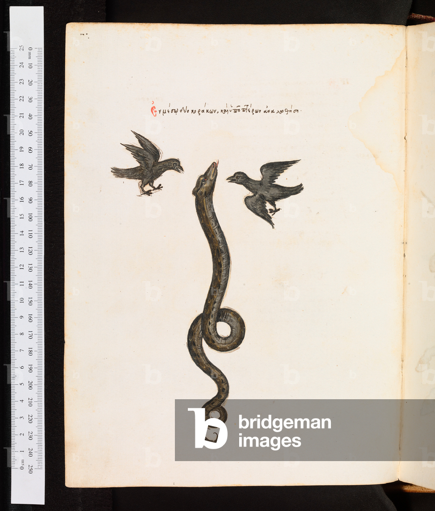 Image of Prophecies. Homilies. Philosophical texts. Oracle-cyle I, 1451 ...