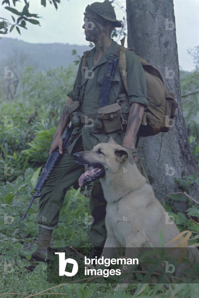 Image of Vietnam War. Camouflaged US Marine and his scout dog named