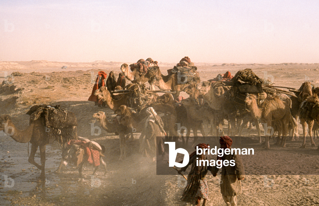 Image of Tribal children with camel caravan, kuchi caravaneers, paused ...