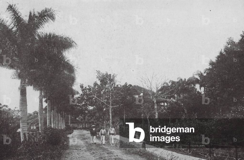 Image of Panama Republic: Main driveway to Ancon Hospital (b/w photo ...