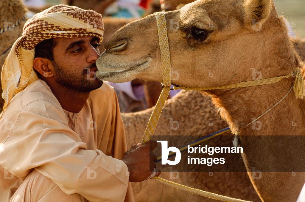 Image of A Omani kisses his soft-eyed camel at the National Day by ...