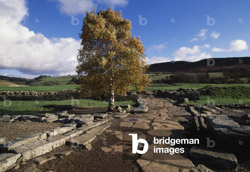 Image of Remains of road leading to Vindolanda Roman Fort, Hadrian's Wall