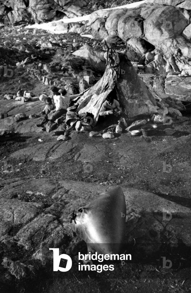 Foreground: Seal skin turned, sewed and inflated to be used as float ...