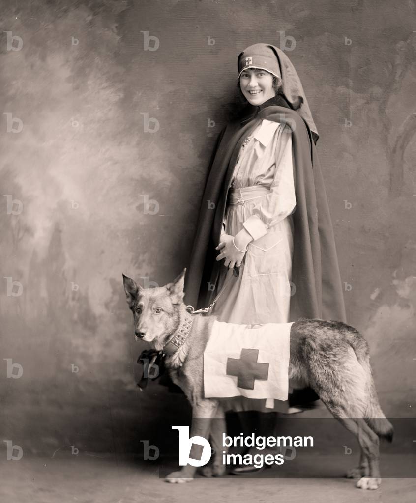 Image of Portrait of a Red Cross Nurse and Mercy Dog. 1917