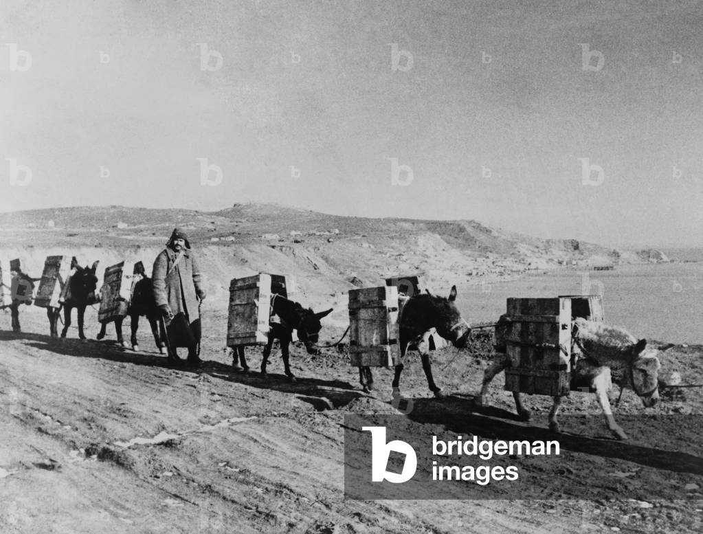 Image of Russian soldier with a pack train of donkeys during World