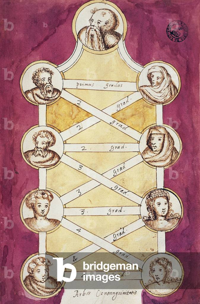 Image of Arbor consanguinitatis (tree of consanguinity), ink drawing ...