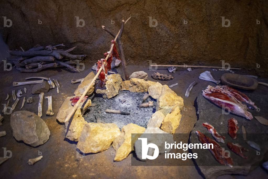 Paleolithic tools and replica of cave painting showing bison, NORTH OF SPAIN, 2021 (photo) by