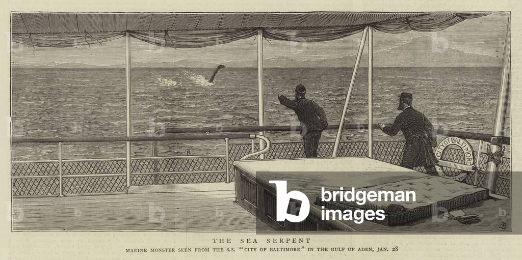 Image of The Sea Serpent, Marine Monster seen from the SS 'City by ...