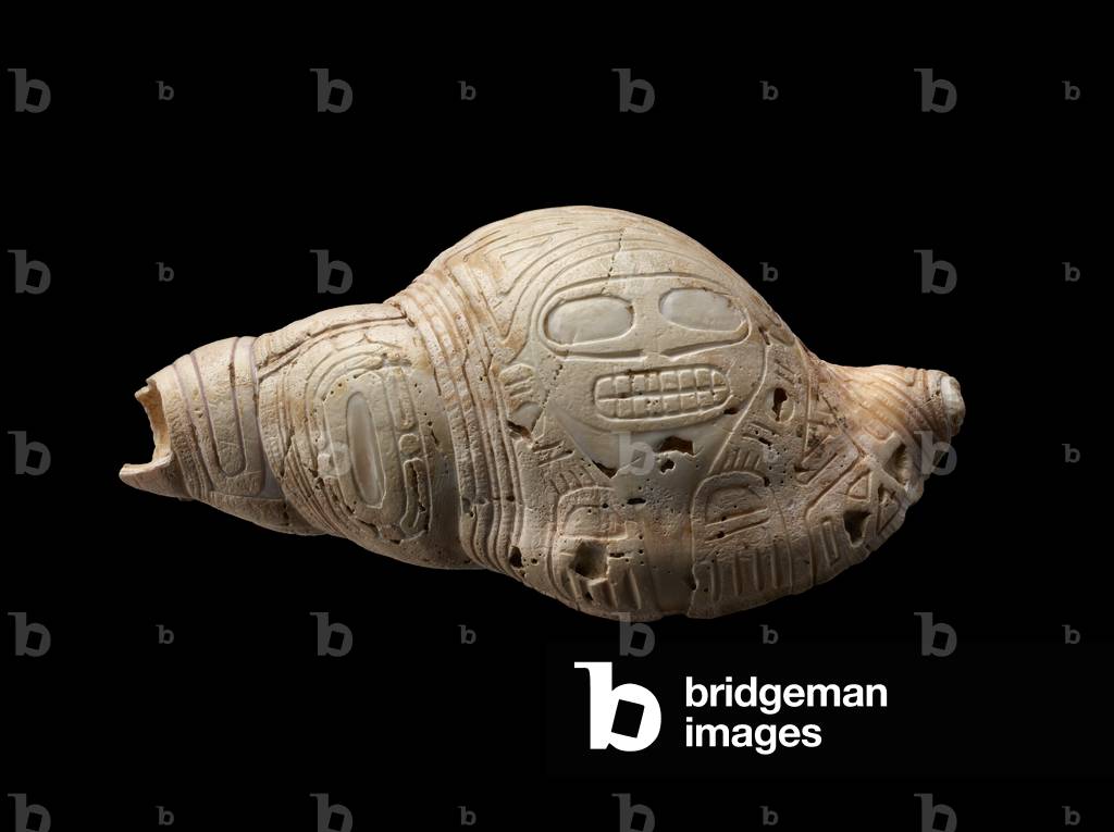 Image of Carved Conch Shell, 1200-1650 AD (shell) by Taino Culture