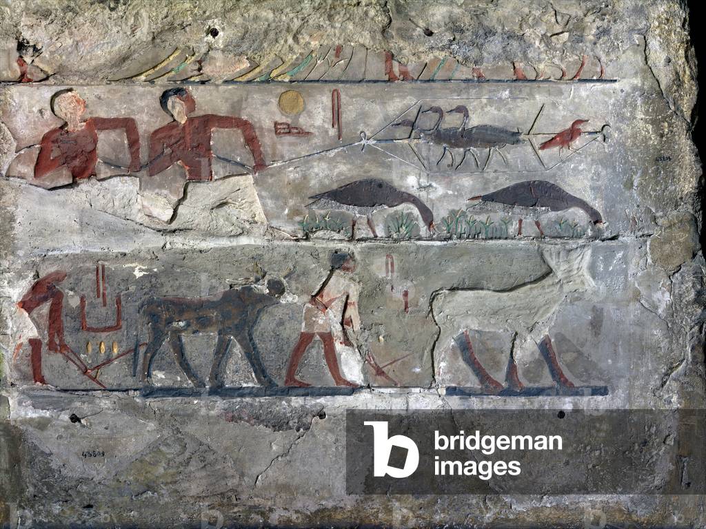 Image of scenes from the Tomb of Nefermaat by Egyptian School