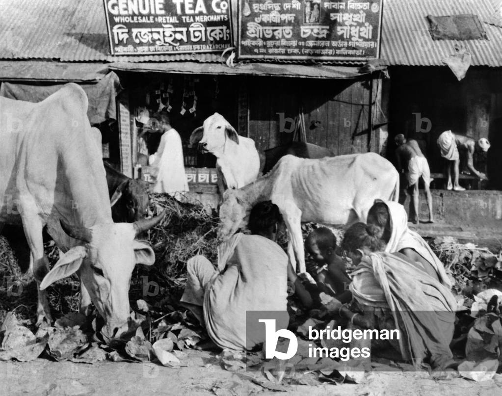 Image of Calcutta scene at the peak of India's famine in late