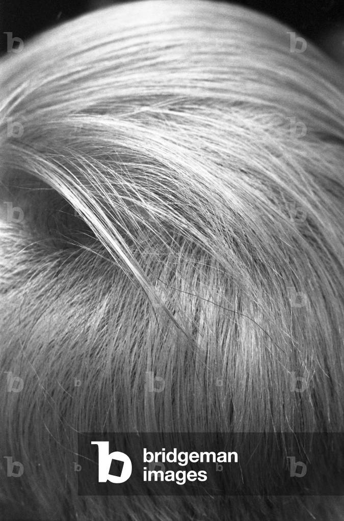 Image of Italian painter and sculptor Giorgio de Chirico's white hair ...