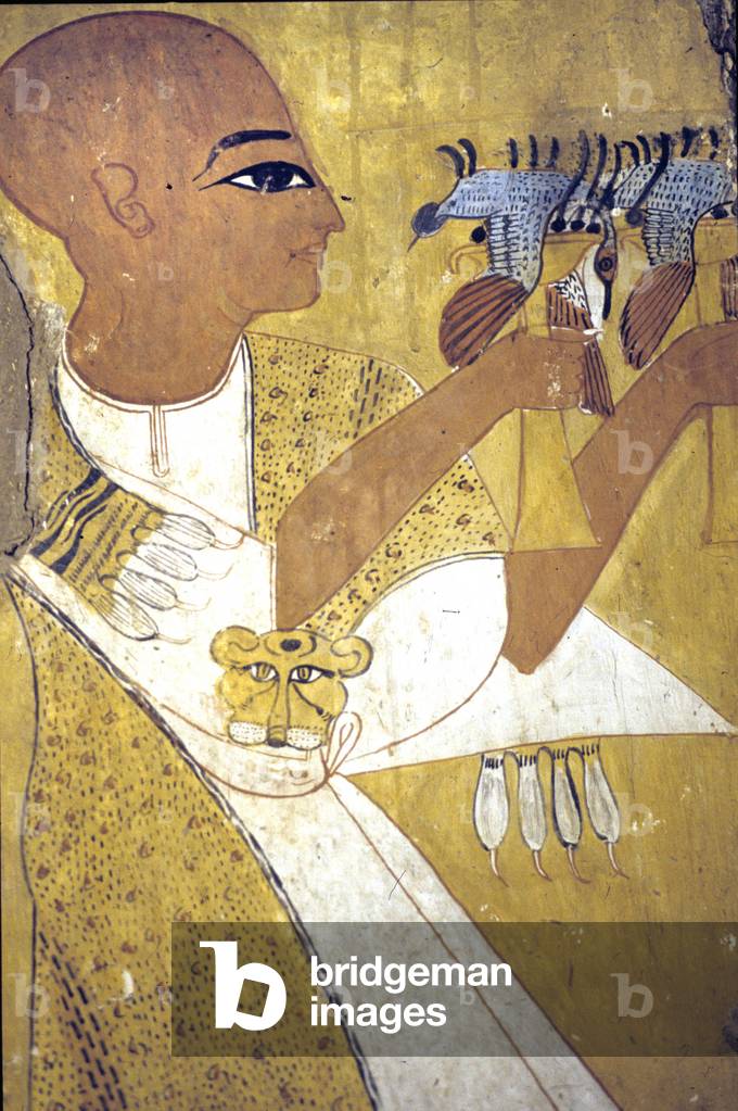 Image of Priest offering birds to Inkerhau, Thebes Tomb (photo)