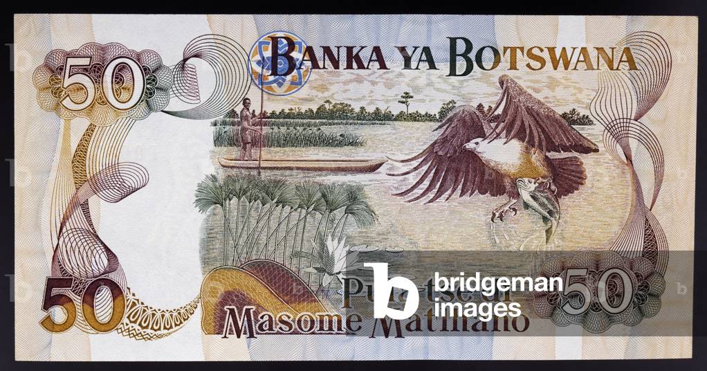 Image of 50 pula banknote, 1990-1999, reverse depicting man in canoe and