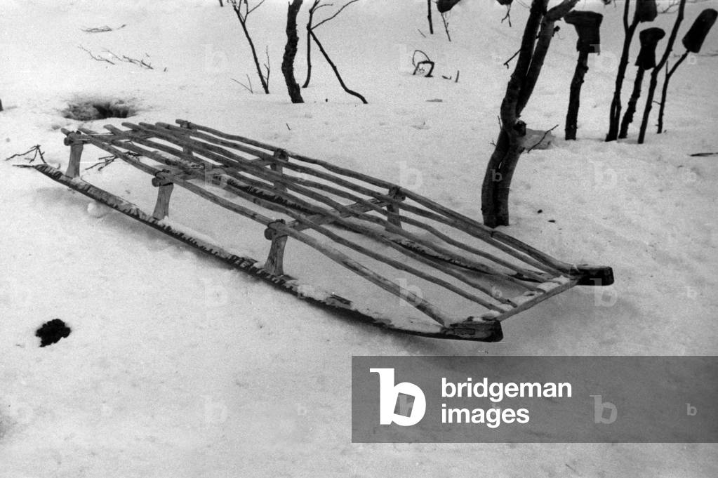 Image of Sled, during the travel in Swedish Lapland, Kiruna, March, 1939