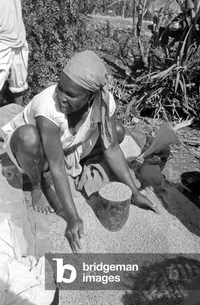Image of Measuring rice with litre measure, 1967
