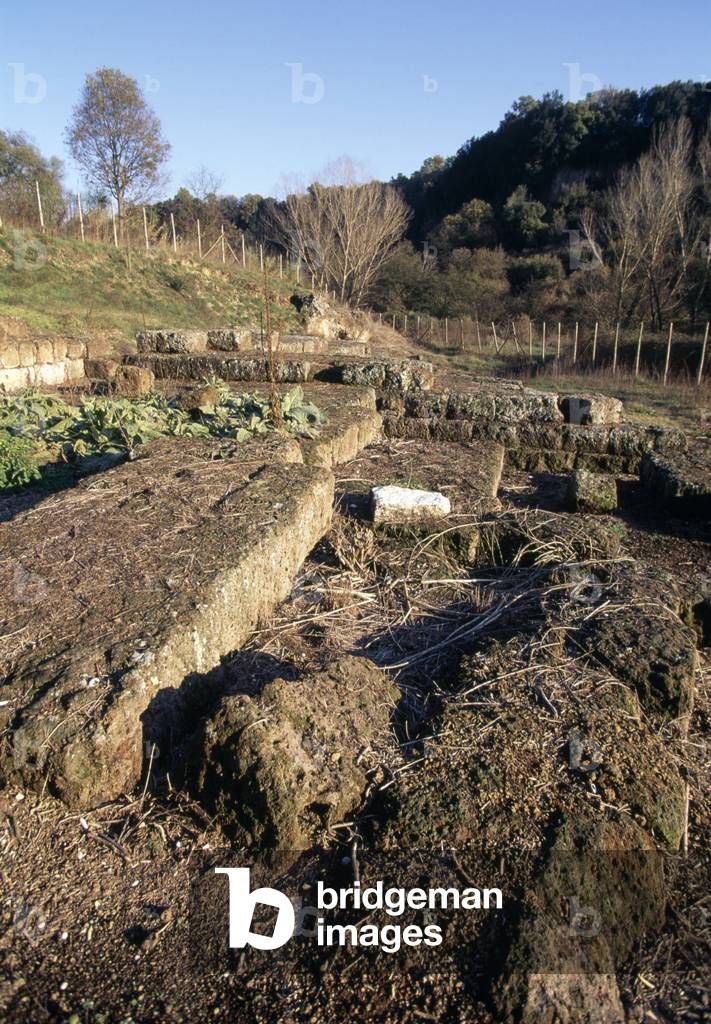 Image of Ruins of temple dedicated to Juno Curitis, Colle di Celle,