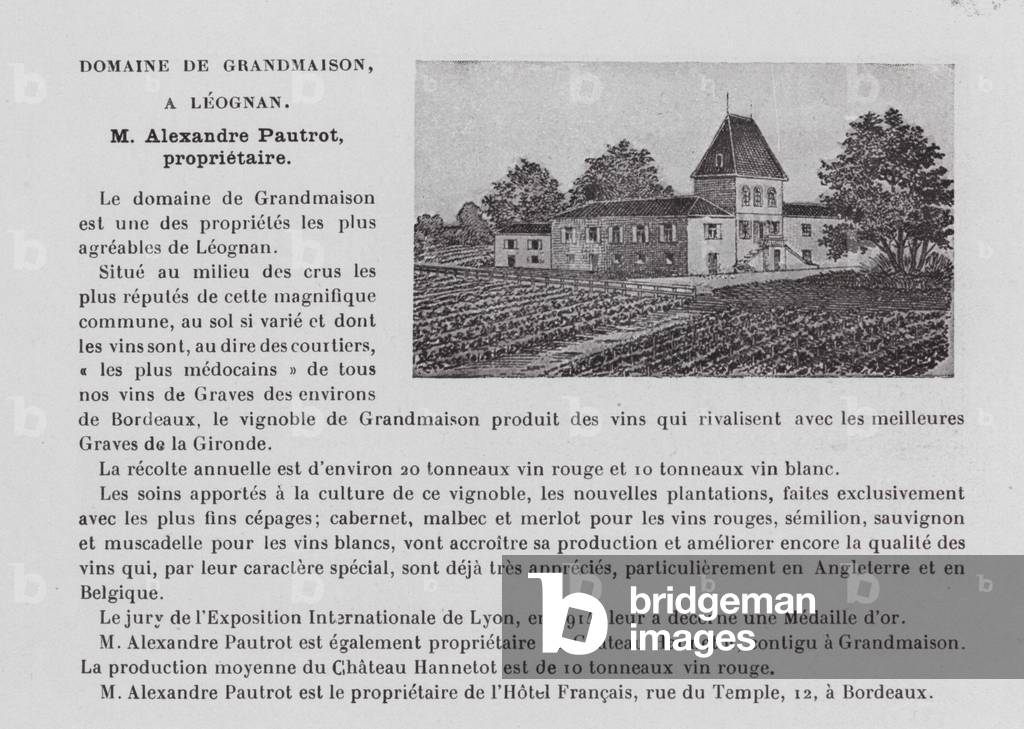 Image of Domaine de Grandmaison, A Leognan, M Alexandre Pautrot ...