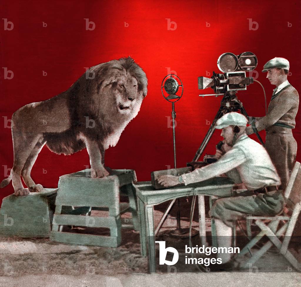 Image of Shooting of Leo, the lion mascot of the MGM, 1936
