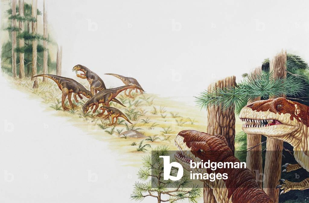 Image of Grupp of Dryosaurus sp, Dryosauridae observed by two ...