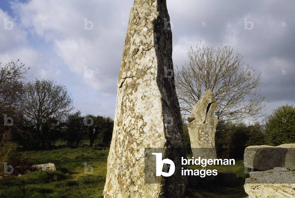 Image of Alignments of standing stones (menhirs) in Kerzerho at Erdeven ...
