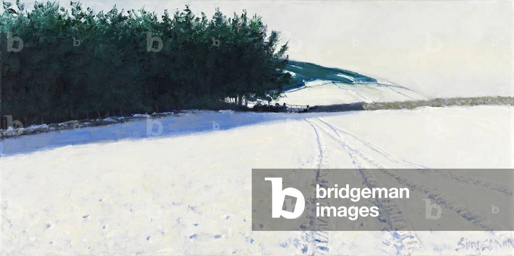 Image of Dark Trees & Snow, 2011 (oil on canvas) by Simpson, Charles (b ...