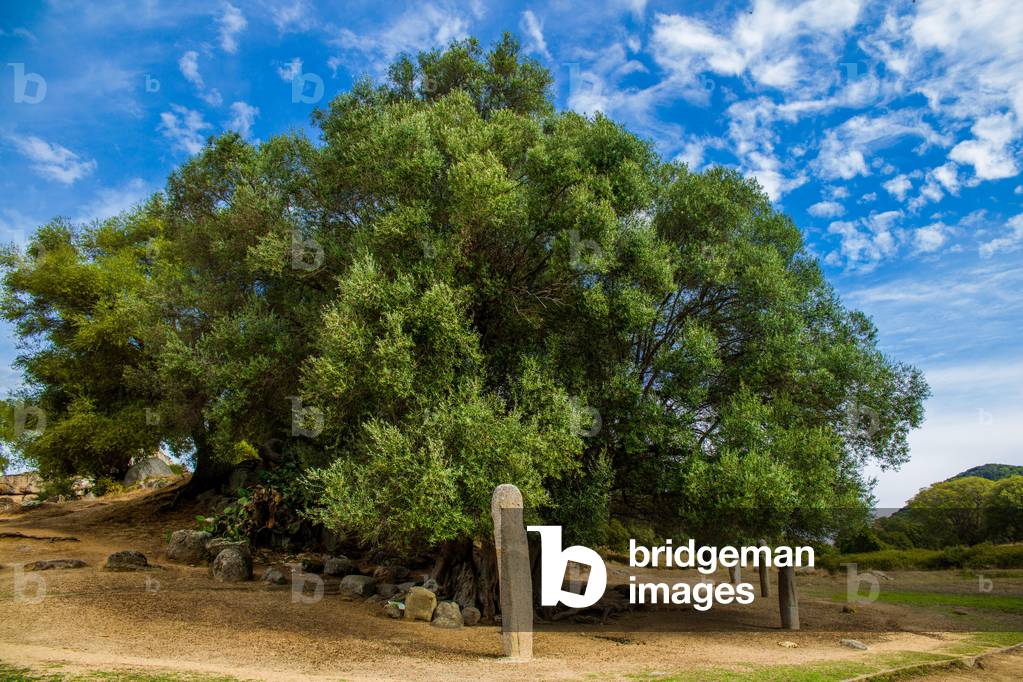 Image of Menhir statues in the plain in front of a 1200