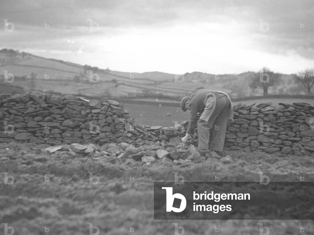 Image of A man in the process of building a dry stone by Hardman ...