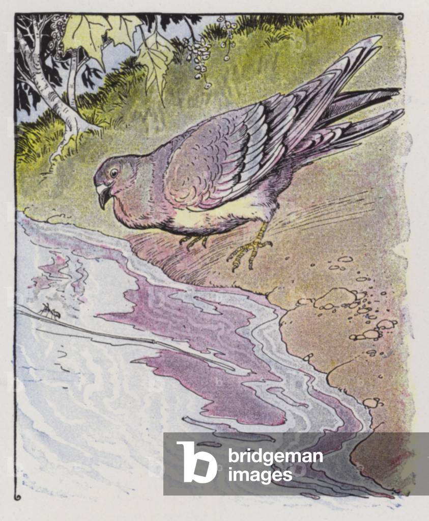 Image of Aesop's Fables: The Ant and the Dove (colour litho) by Winter ...