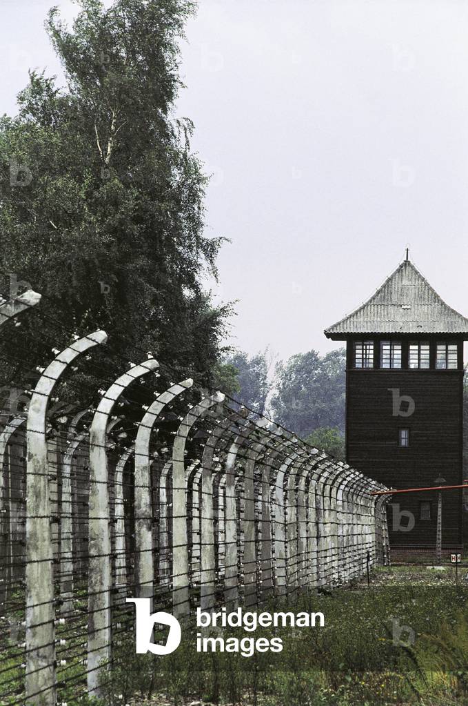 Image of Barbed wire fence and guard tower at Auschwitz concentration camp