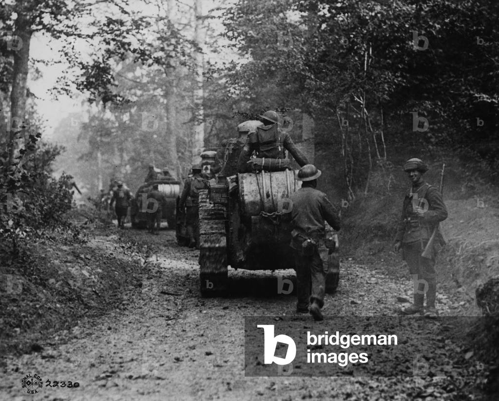 Meuse Argonne Forest