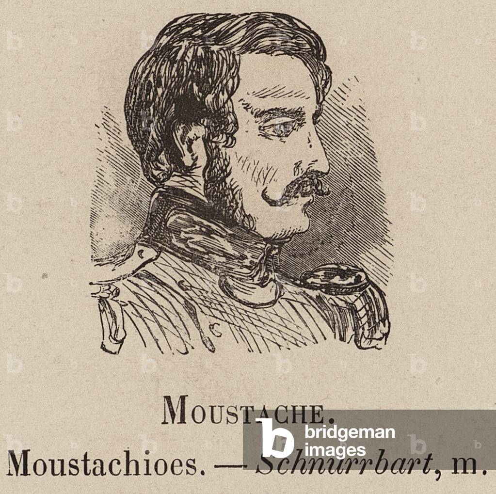 Image of Le Vocabulaire Illustre: Moustache; Moustachioes; Schnurrbart ...