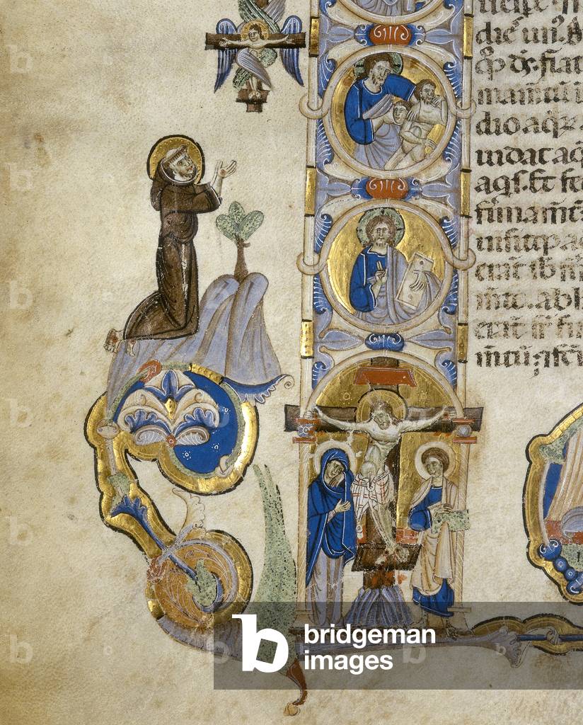 Image of St. Francis of Assisi and some episodes from the life