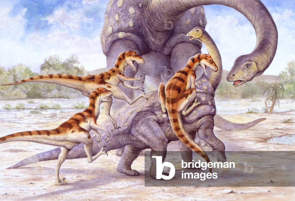 Image of Illustration of three Noasaurus dinosaurs attacking young ...