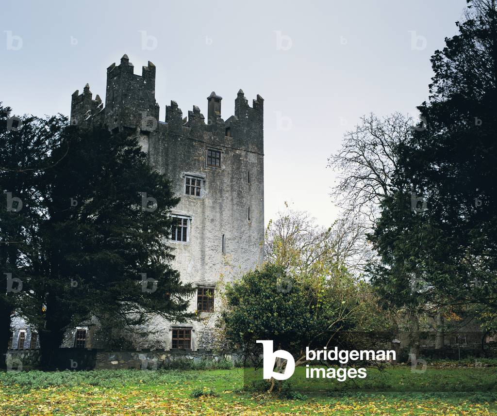 Image of Castle Matrix, Co Limerick, Ireland (photo)