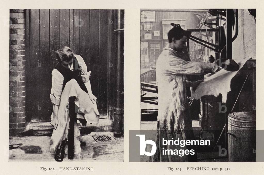 Image of Hand-staking; Perching (b/w photo) by English Photographer ...