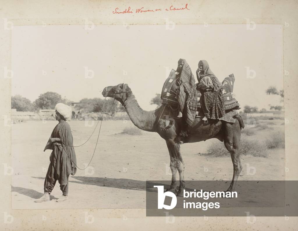 Image of Sindhi women on a camel. A portrait of two Sindhi