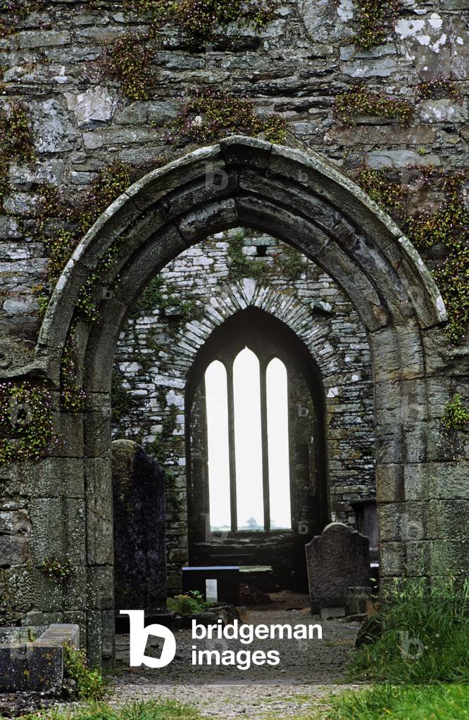 Image of Ireland, County Cork, Timoleague Abbey, 13th century ruins ...