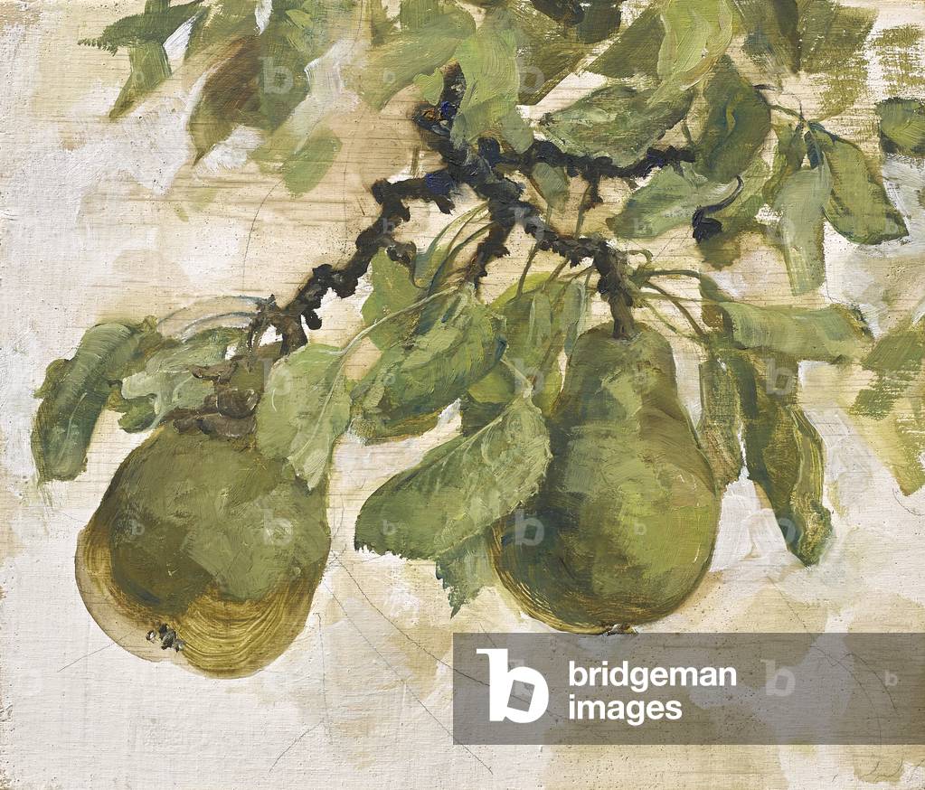 Image of Two Pears on Twig II, 2004 (Oil on Panel) by Patrick, Emily (b ...