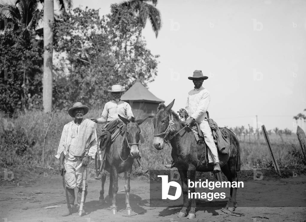 Image of Cane cutters on - Cuban sugar plantation (b/w photo)