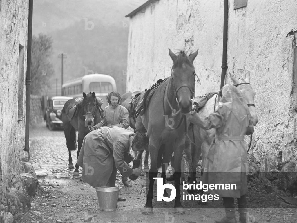 Image of A view of some horses being tended to by women, by Hardman ...