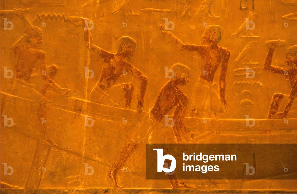 Image of Ancient Egypt, Wall carving/painting, Mastaba/Tomb of Ti ...
