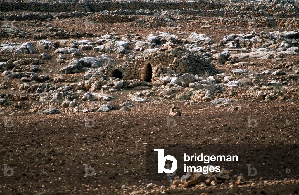 Image of Cave house, Ramallah, Palestine (photo)