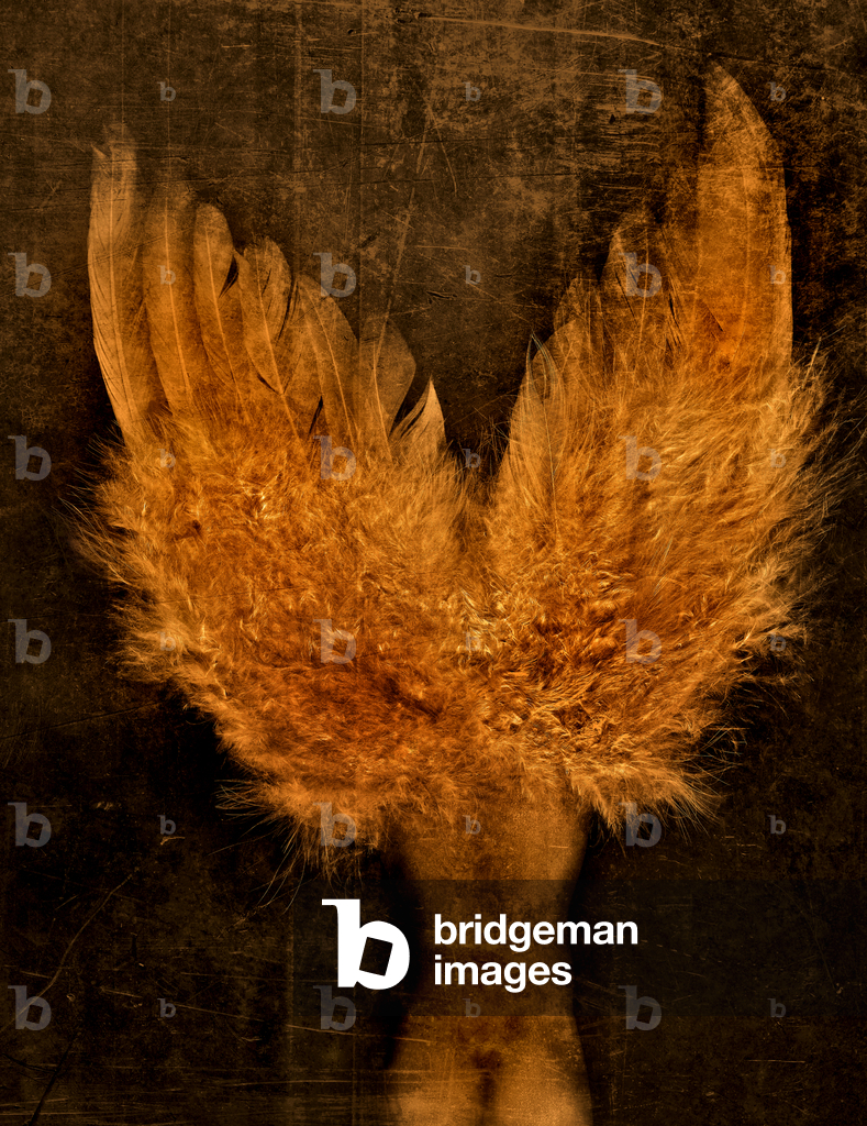 Image of Icarus or angel..., 2025 (photo) by Antonius, L.W.