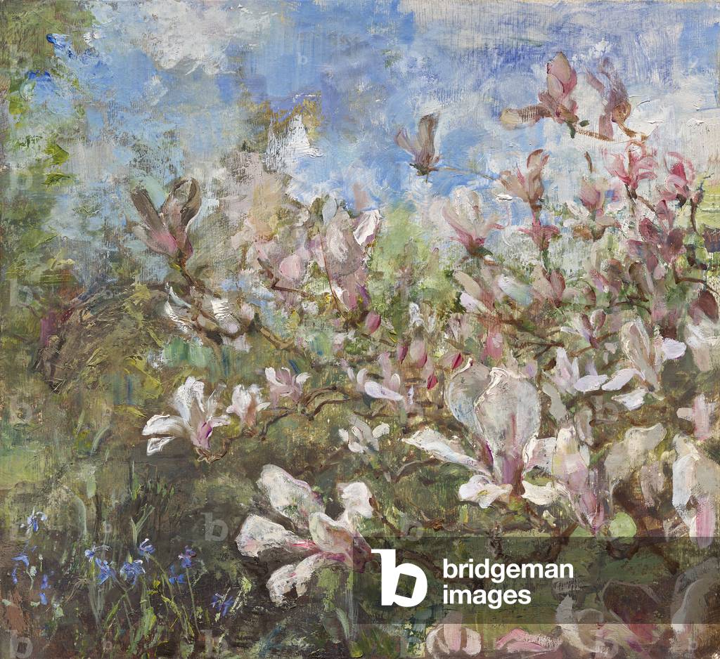 Image of Scilla below Magnolia, 2018 (Oil on Panel) by Patrick, Emily ...