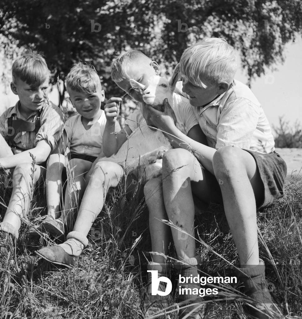 Image of Children playing with a little lamb, Germany 1930s (b/w photo)