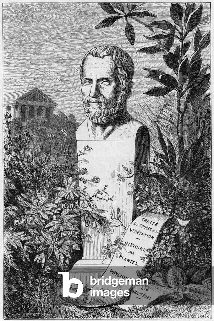 Image of Theophrastus (c372-c287 BC) Ancient Greek philosopher and ...