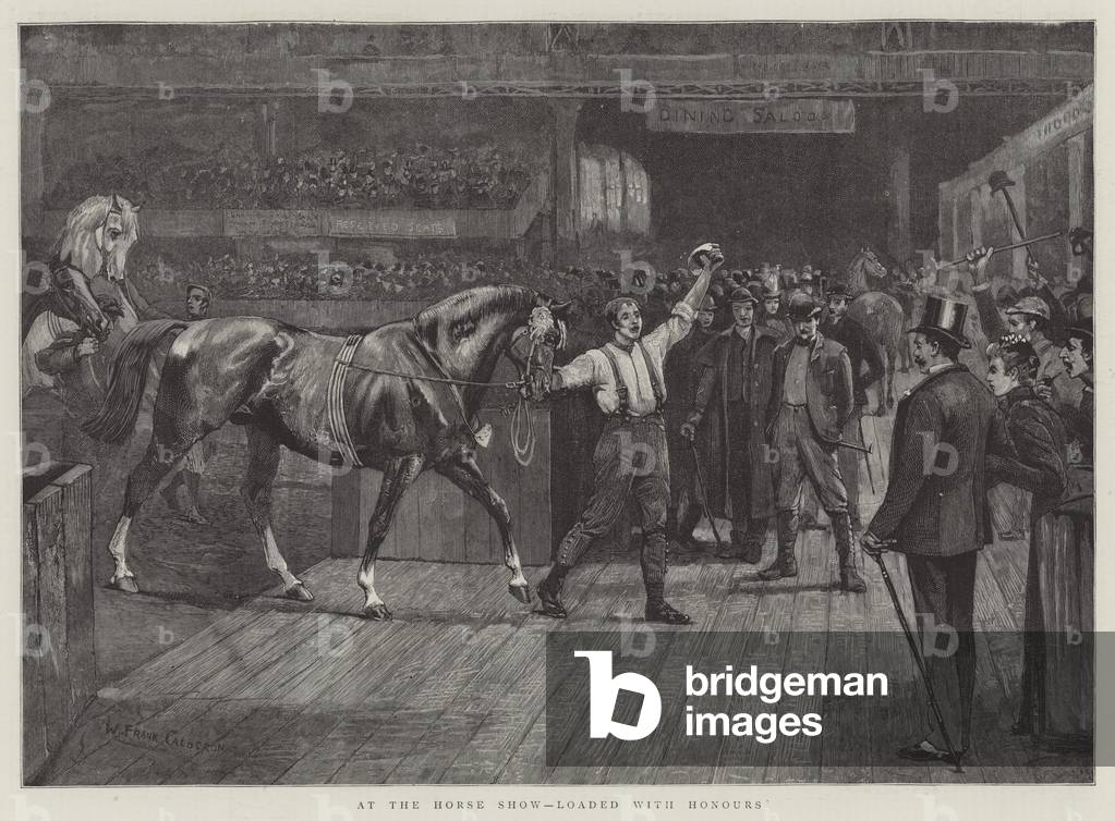 Image of At the Horse Show, loaded with Honours (engraving) by Calderon ...