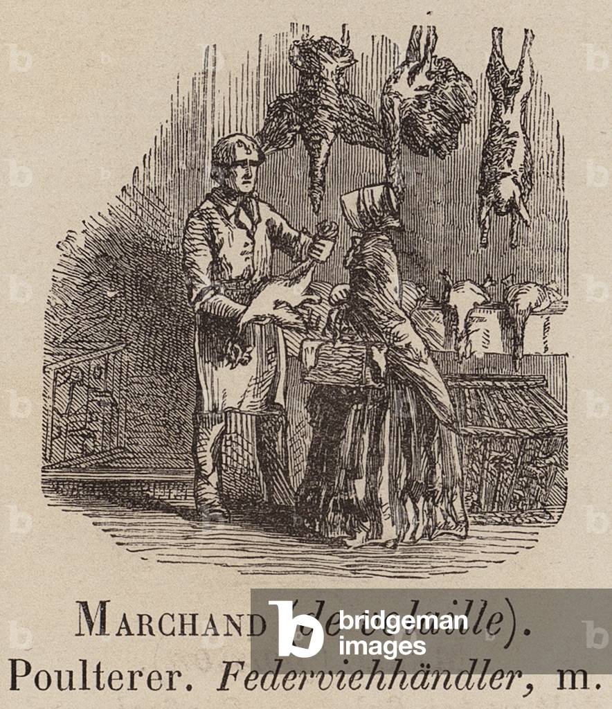 Image of Le Vocabulaire Illustre: Marchand (de volaille); Poulterer ...