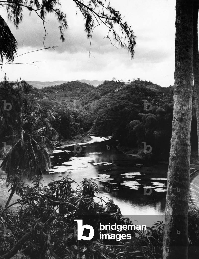 Image of Rio Cobre River, Jamaica c.1955 (b/w photo)